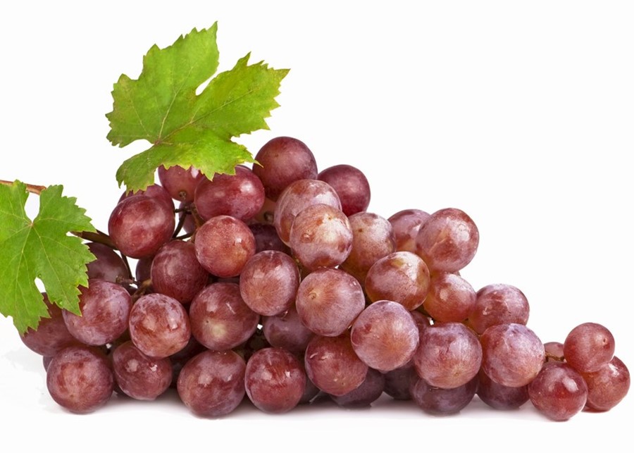 Why Are Grapes Good For Us? | The Foodstate Company